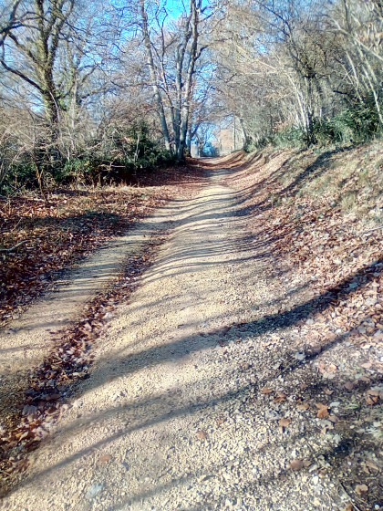 The Marsanne plateau tour - Walk