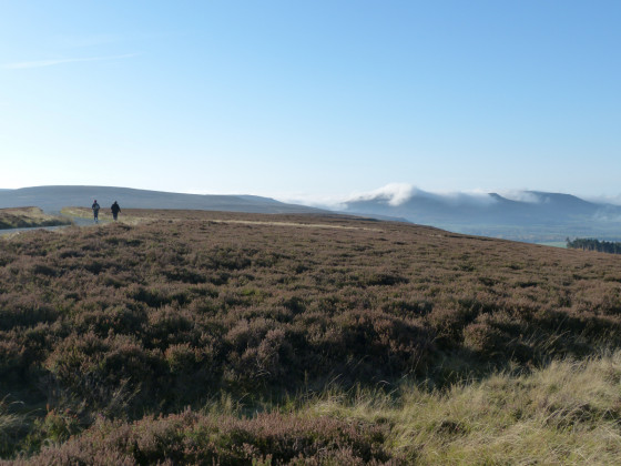 Ingleby Incline and Battersby Moor - Walk