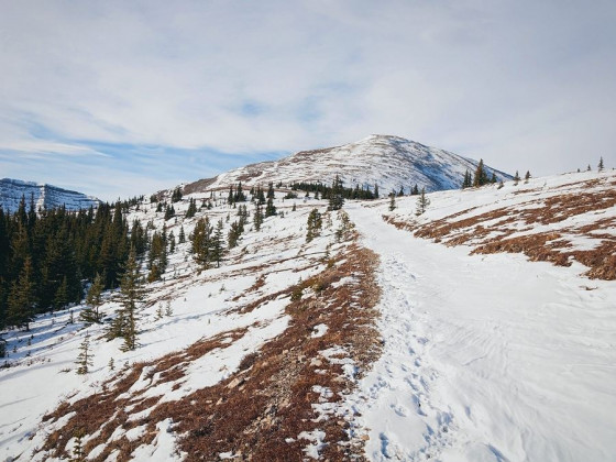 Moose Mountain Trail, Alberta - Walk