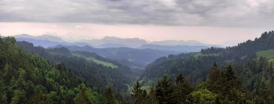 A faire : Napf - Lüderenalp par l'Alpenpanorama Weg - Randonnée