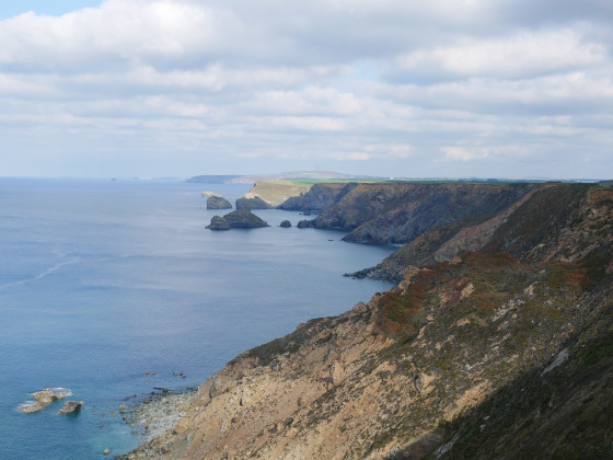 North Cliffs to Tehidy Country Park woods (Circular/Same way) - Walk