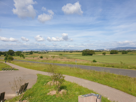 A faire : De Chassieu à Meyzieu par le sentier du Biézin - Randonnée