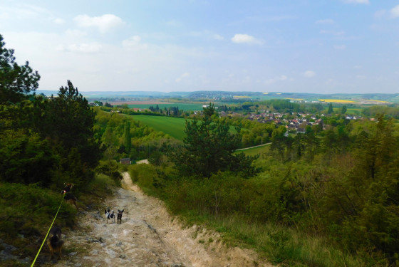 A faire : À la découverte des paysages autour de Rosoy - Randonnée A faire : À la découverte des paysages autour de Rosoy - Randonnée