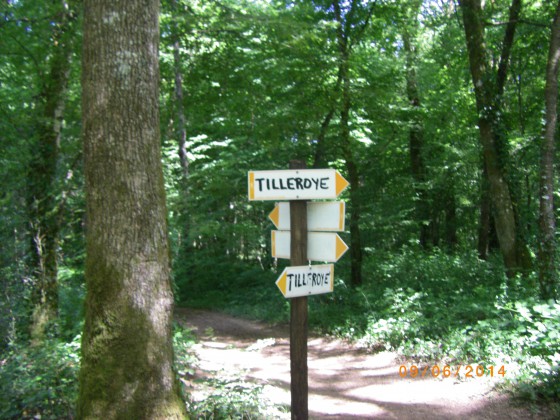 Menère Forest - Besançon - Tilleroyes - Walk