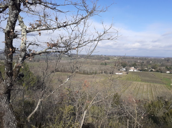 A faire : Boucle de Vérac - Randonnée