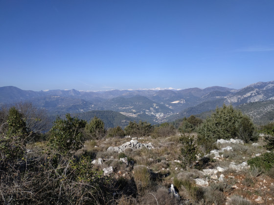 A faire : Tour du Plateau Tercier - Randonnée