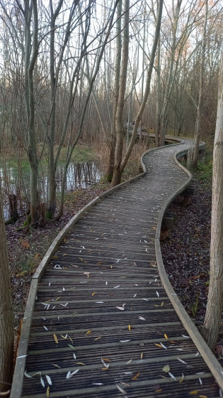 A faire : Les deux parcs du plateau d'Avron - Randonnée