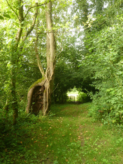 A faire : La vallée du Vilpion, de Thenailles au Petit Lugny - Randonnée