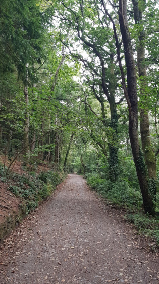 North Cliffs and Tehidy Country park - Walk
