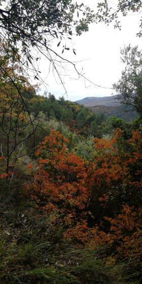 A faire : Autour du Mont Lion - Randonnée