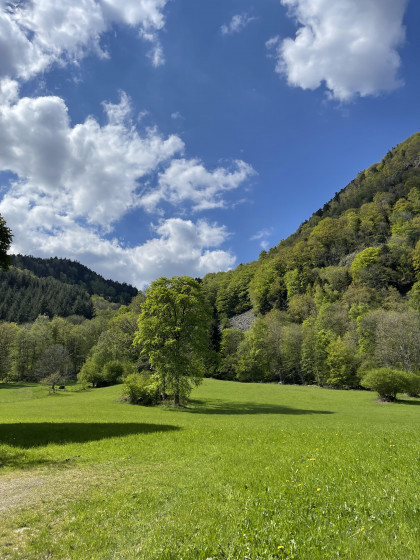 Five lakes around Kastelberg - Walk