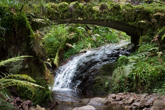 A faire : Le saut de la Bourrique - Randonnée