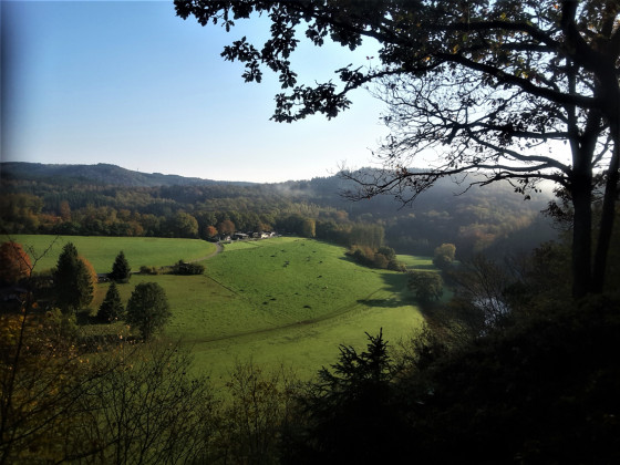 A faire : Promenade des points de vue à Dohan - Randonnée