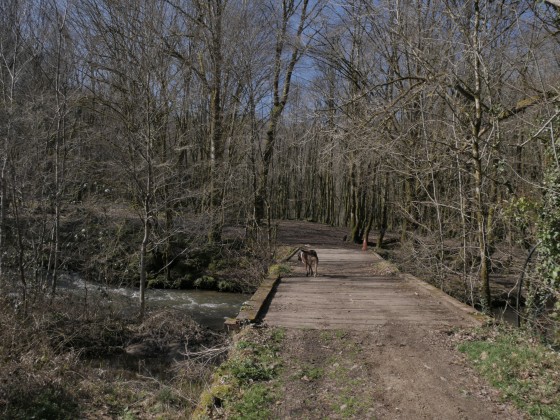 Rundweg zu den Mühlen von La Forge und La Forêt - Wanderung