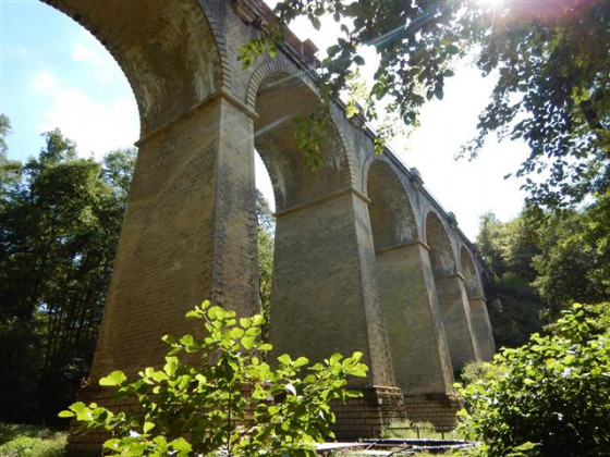A faire : Le sentier des biches à Claudon - Randonnée
