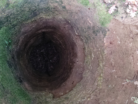 A faire : Boucle de Béthoncourt et circuit des puits de mines - Randonnée