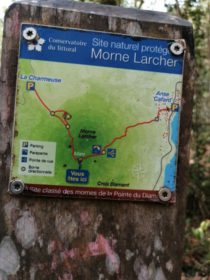 A faire : Morne Larcher - Randonnée