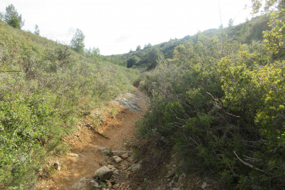 A faire : Le Ravin de la Baume - Randonnée