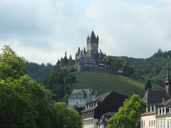 Von Cochem nach Beilstein auf dem Moselsteig - Wanderung