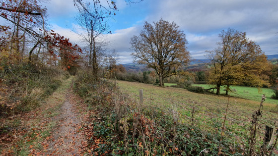 A faire : D'un versant à l'autre de l'Aisne à Bormal - Randonnée