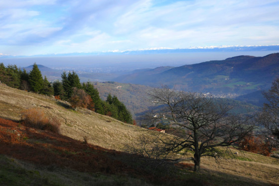 The Pilat de Vanosc peaks - Walk
