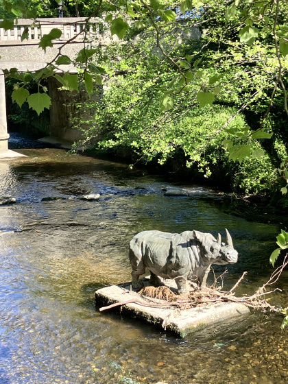 Follow the River Dodder to the River Liffey Dublin - Road bike ...