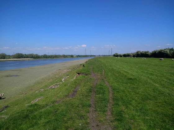 Hutton Bottom Circular - Walk