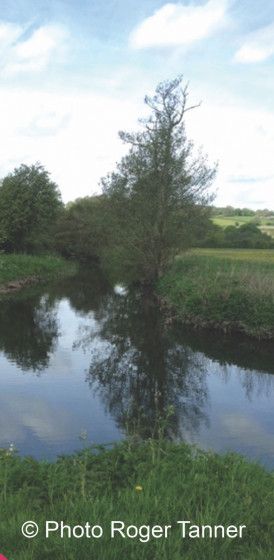 Ambergate, Pentrich and South Wingfield Revolution - Walk