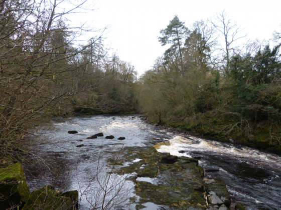 Teesdale Way Circular from Eggleston - Walk