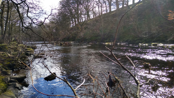 A faire : Circuit de Middleton in Teesdale à Romaldkirk - Randonnée