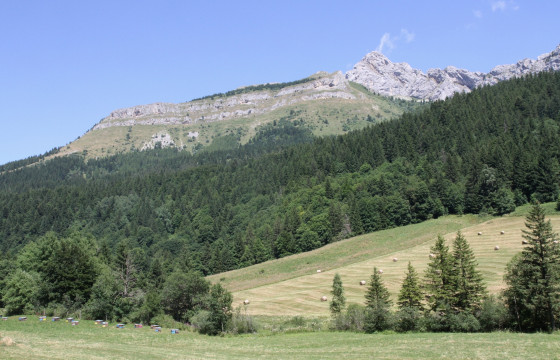 A faire : Sentier Gobert, Cabane de Roybon, Vallon de la Fauge - Randonnée