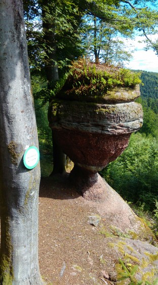 Hellert – Höhlenwohnungen – Sickertkopf - Wanderung