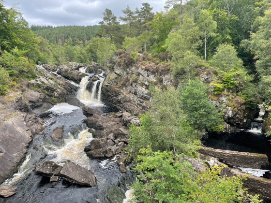 Rogie Falls circular, Contin - Walk