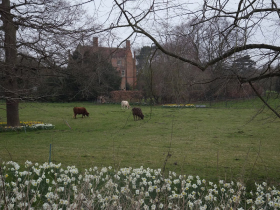 Geldeston Locks from Beccles - Walk