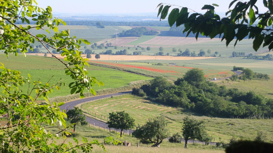 A faire : La Vallée du Clignon au départ de Belleau - Randonnée