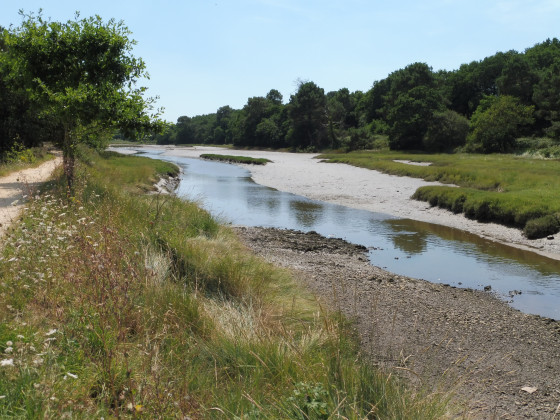 A faire : Circuit du Parc et du Ruisseau du Plessis - Randonnée