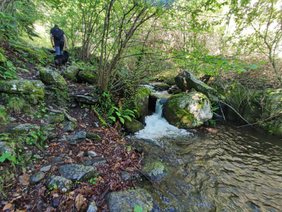 A faire : Boucle des quatre cols au départ de Fillols - Randonnée