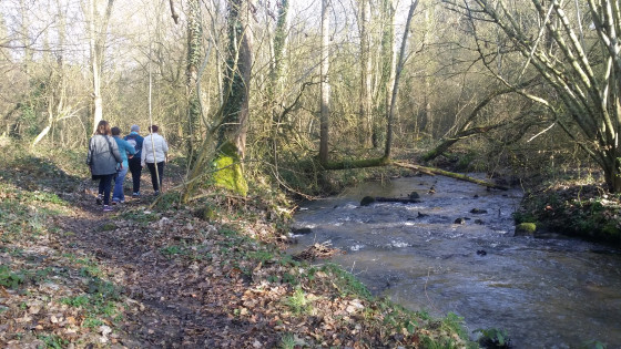 A faire : Sentier du ruisseau à Lassay-les-Châteaux - Randonnée