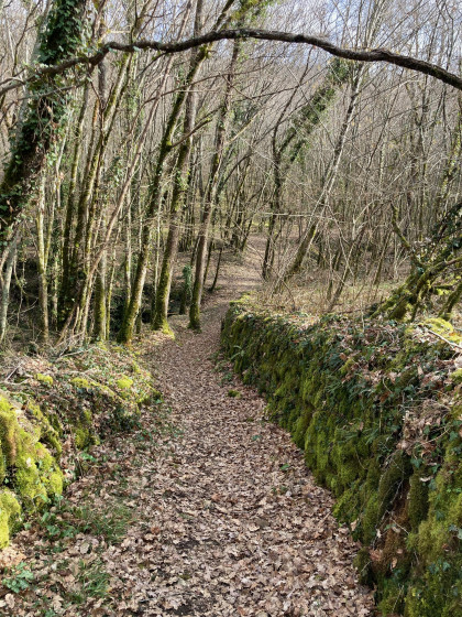 A faire : Circuit n° 2 du Trail de Bayac - Randonnée