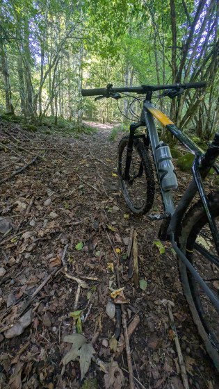 "Le Mont du Breuchin" circular from Faucogney-et-la-Mer - Road bike ...