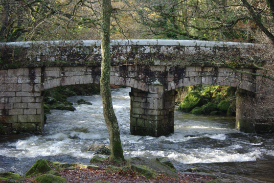 A faire : Shaugh Bridge, Cadover et The Old Pipe Track - Randonnée