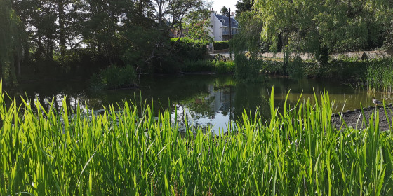 Loop in Slindon Estate - Walk