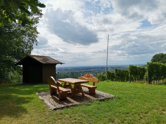 A faire : Sur les hauteurs de Tiergarten et Haslach en Forêt-Noire ...