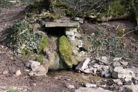 A faire : La Forêt de Plombières et la Source de la Tuilerie - Randonnée