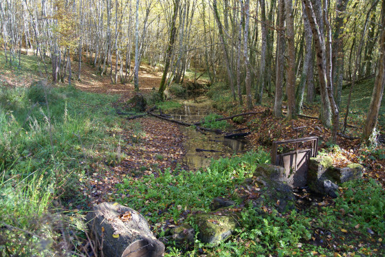 A faire : Autour de Dixmont, de hameaux en lieux-dits - Randonnée