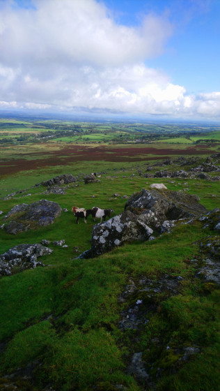 A faire : Boucle de Sourton Tors Dartmoor - Randonnée