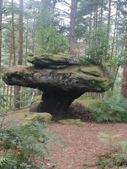 A faire : Autour du Col de Saverne - Randonnée