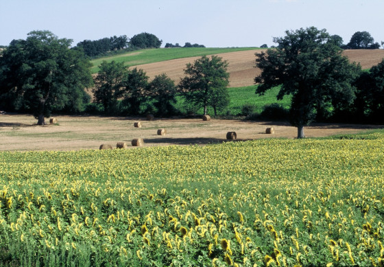 A faire : Collines et vallée d'Orthe au départ de Saint-Pierre-sur ...