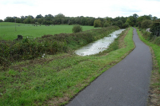 Coalisland Canal - Walk