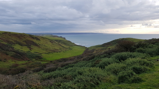 Stowe Cliffs and Coombe Valley from Duckpool - Walk